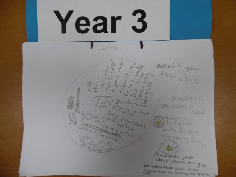 Thinking Maps in operation – Oaklands Junior School